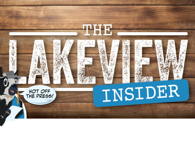 Five Fun Facts about Lakeview Partners! | Lakeview Ministries